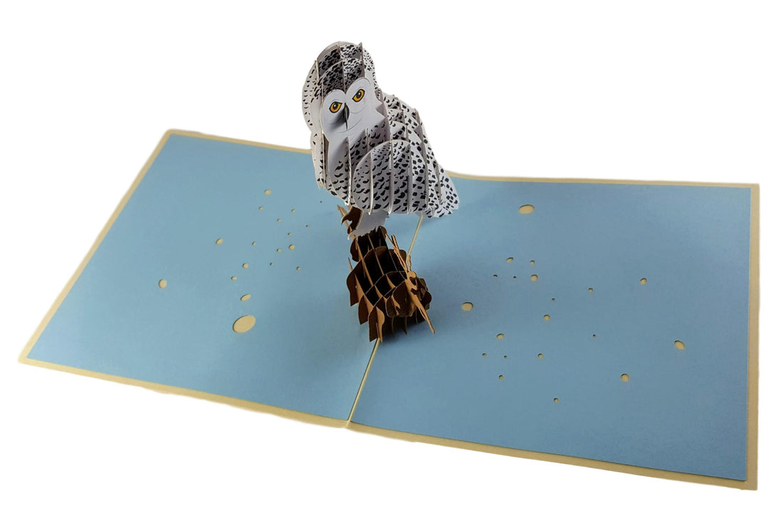 Owl 3D Pop Up Greeting Card | iGifts And Cards